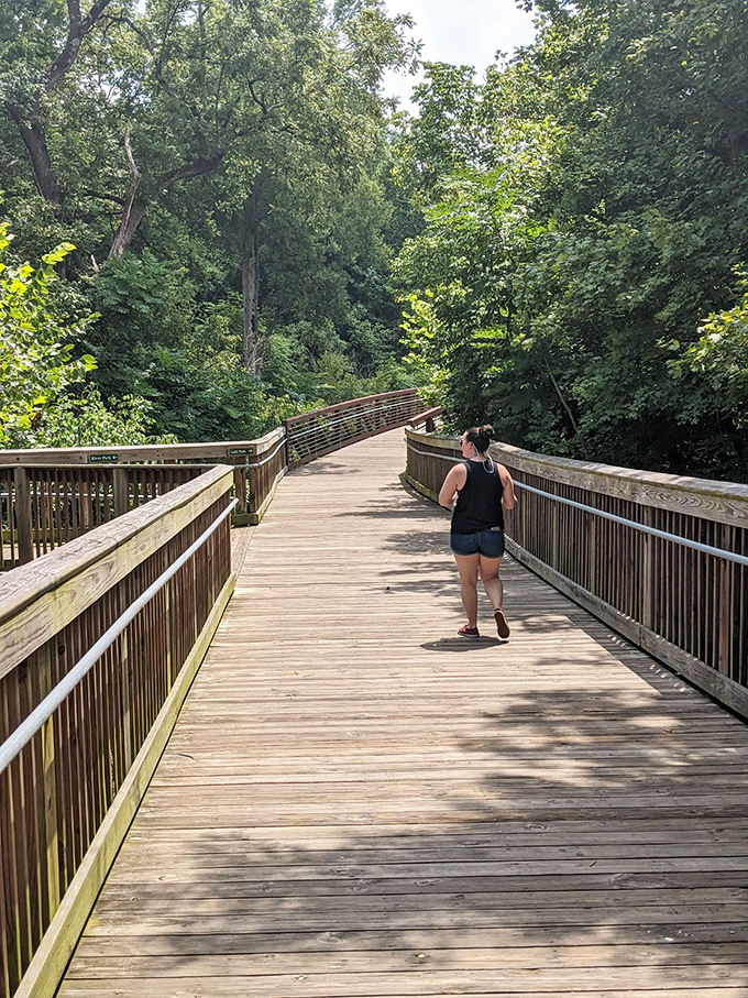 The Riverwalk's wooden boardwalk meanders through lush forest, offering a nature escape that's somehow both wild and perfectly accessible.