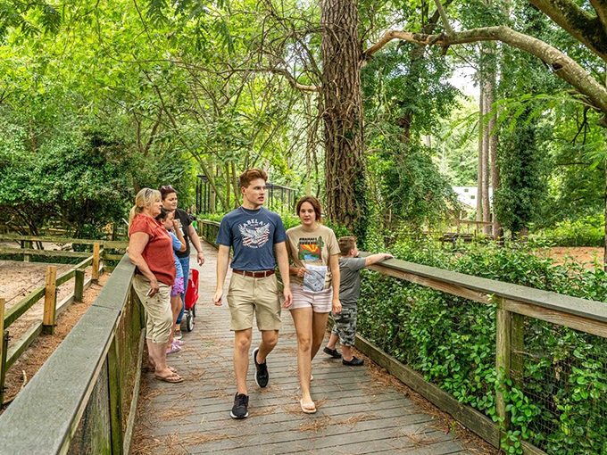 Shaded walkways at Salisbury Zoo offer free wildlife encounters&mdash;because the only thing better than seeing exotic animals is not paying exotic prices.