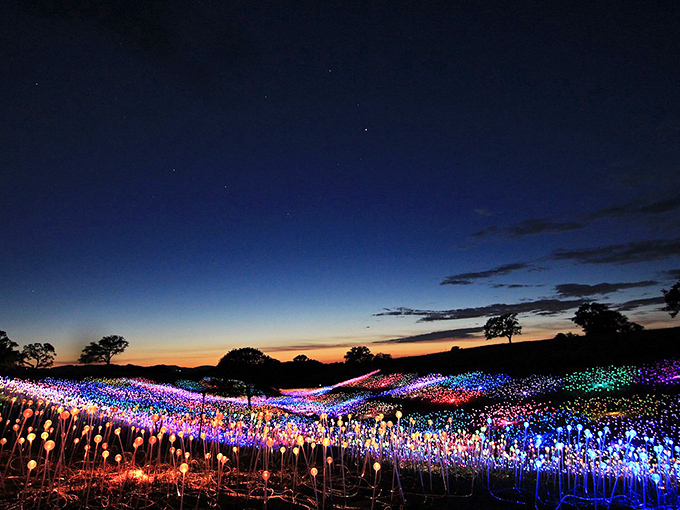 Sensorio's Field of Light transforms hillsides into an electric dreamscape. Like stumbling into a sci-fi movie set, but the only special effect is your widening eyes.