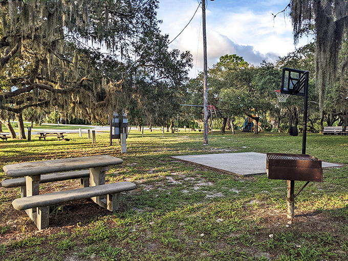Cedar Key's community spaces invite impromptu gatherings under moss-draped oaks, where picnic tables have hosted more meaningful conversations than most conference rooms.
