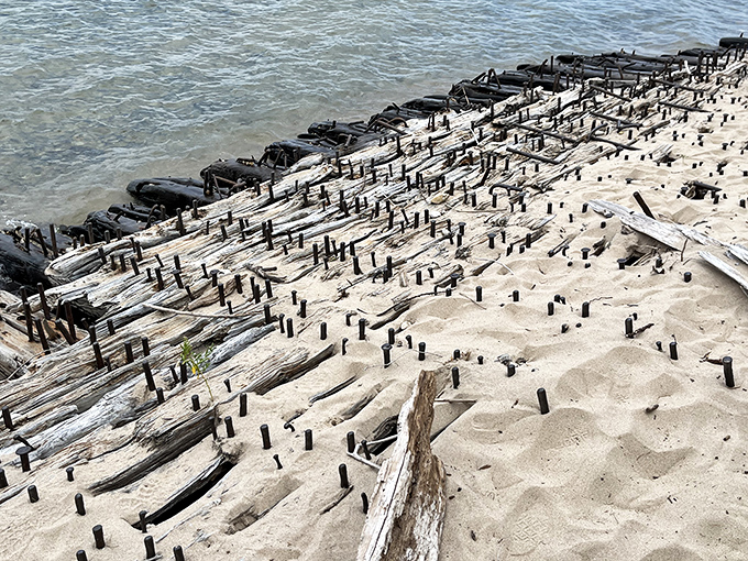 The skeletal remains of the Joseph S. Fay shipwreck serve as a haunting reminder of Lake Huron's power and the lighthouse's vital purpose.