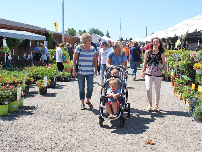 Family shopping expeditions create memories that outlast any purchase. That stroller will return home considerably heavier than when it arrived.
