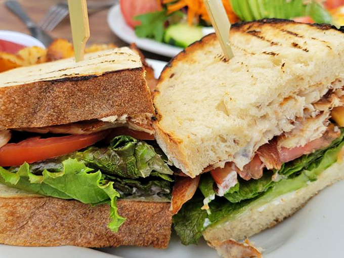 A sandwich stacked higher than San Francisco rent prices, with layers that tell a story of perfect balance between hearty and fresh.