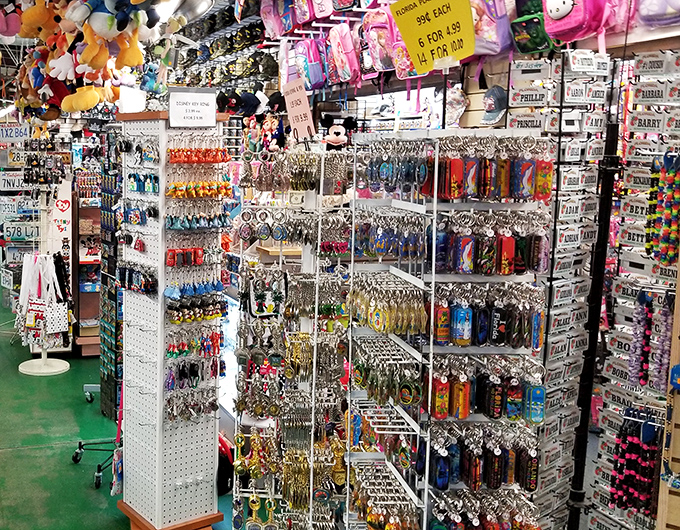 Keychains, magnets, and trinkets galore &ndash; because nothing says "I went to Florida" like a snow globe of palm trees and alligators.