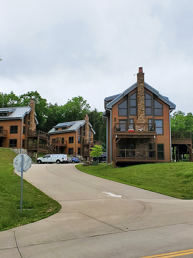 Not your average cabin fever! These modern lodgings blend rustic charm with creature comforts, proving wilderness retreats don't require roughing it.