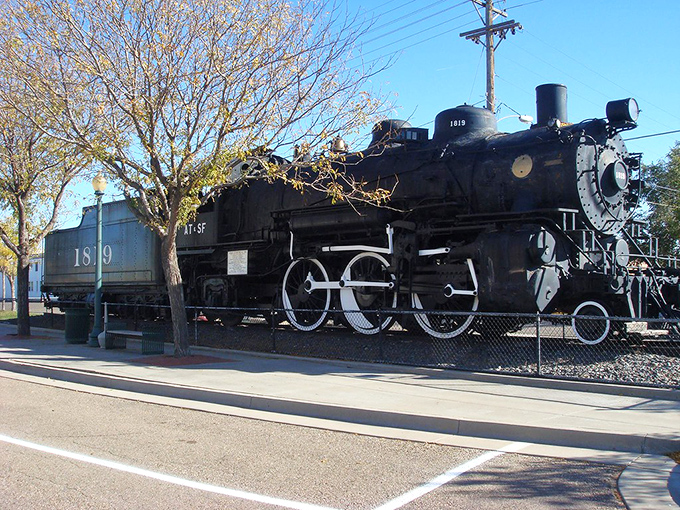 A magnificent iron horse rests after a lifetime of service. This steam engine has more stories than a retirement home on bingo night.