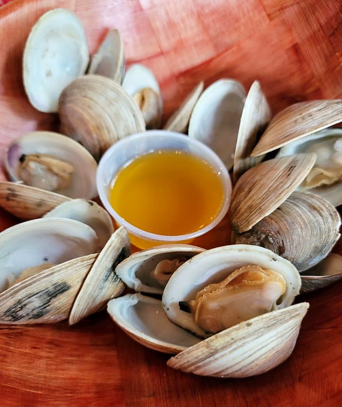 Fresh clams that taste like they just said goodbye to the ocean, served with a golden broth that begs to be soaked up with bread.