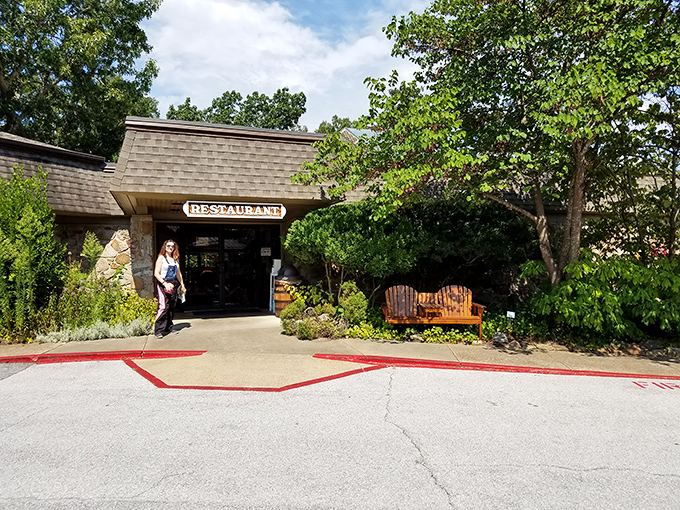 Fall foliage creates nature's most spectacular light show, with a quiet bench inviting you to be the only audience member needed.