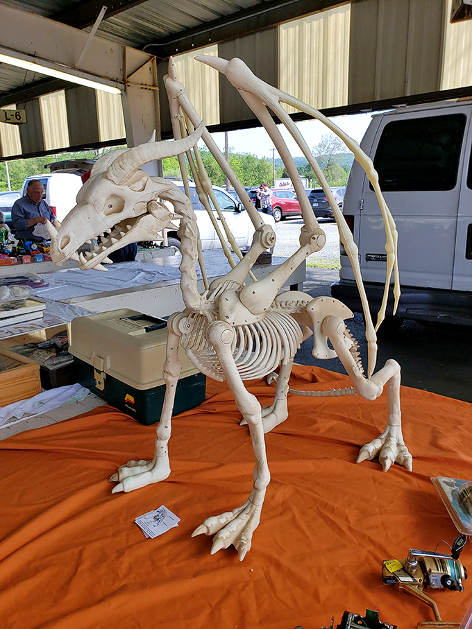 Not your average Halloween decoration! This articulated dragon skeleton showcases the delightful weirdness that makes flea markets the ultimate adventure shopping.