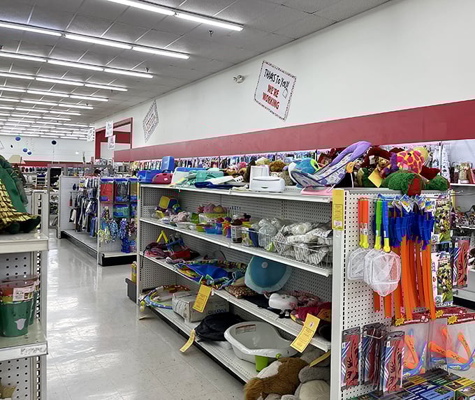 Toy paradise where childhood nostalgia meets bargain prices. Someone else's outgrown treasures become your kid's new obsessions for a fraction of retail.