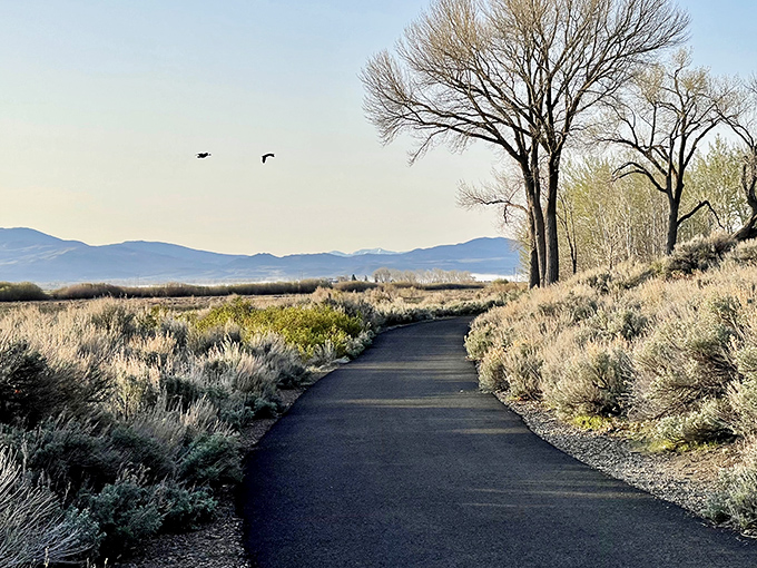 Walking these sage-lined trails feels like stepping into a watercolor painting &ndash; where every bend promises a new perspective.