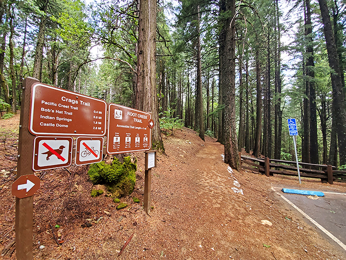 Trail signs that promise adventure in every direction. The hardest part of hiking here? Deciding which path to take first.
