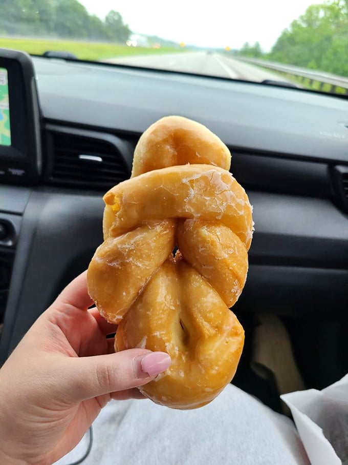 Road trip essential: a twisted donut enjoyed against the backdrop of highway adventures&mdash;some treasures are best savored while in motion.