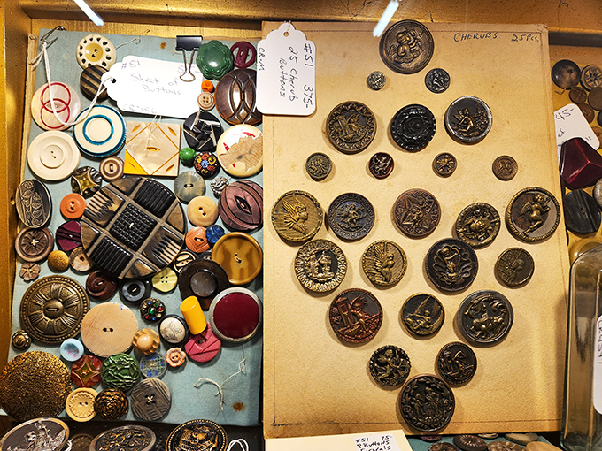 Buttons and vintage medals tell tiny stories of fashion and honor. Each one a miniature time capsule smaller than a quarter but twice as valuable.