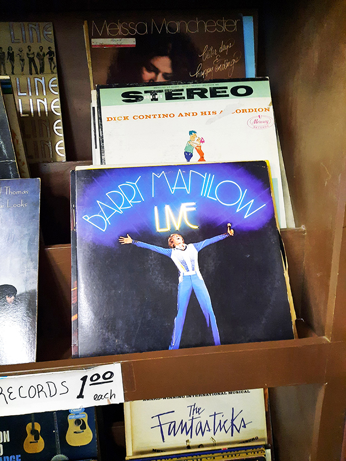 Vinyl enthusiasts, rejoice! From Barry Manilow to forgotten orchestras, these $1 records are the soundtrack to memories you didn't know you missed.