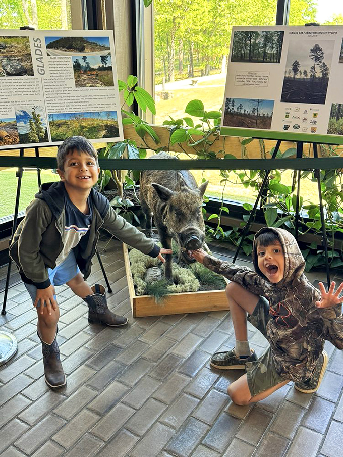 The visitor center offers educational displays and occasionally, excited children discovering wildlife. That wild boar seems equally surprised by the encounter.