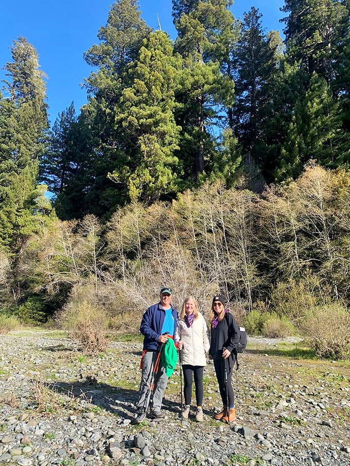 The scale of these trees makes even the tallest human look like an action figure. Nature's way of keeping our egos in check.