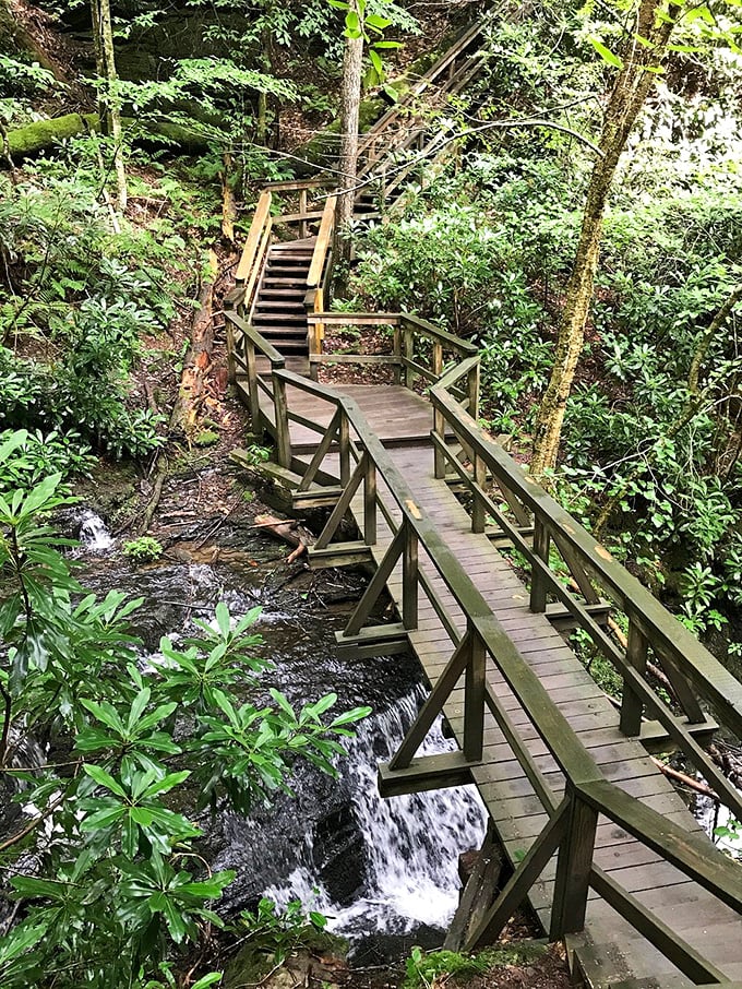 Sturdy bridges carry visitors safely over rushing streams toward Pennsylvania's most photogenic waterfall destination.