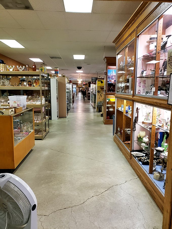 The unofficial Ohio Museum of Everything, where glass cases protect treasures while concrete floors guide you through decades of American material culture.