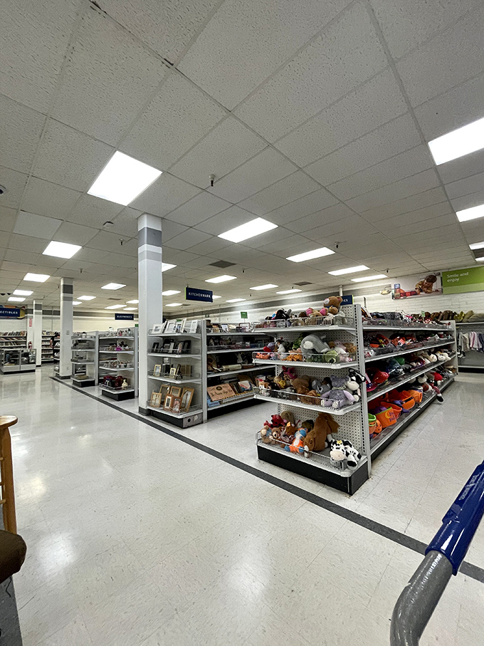 Department store organization meets thrift store prices&mdash;the best of both worlds for shoppers who like their bargain hunting with a side of order.