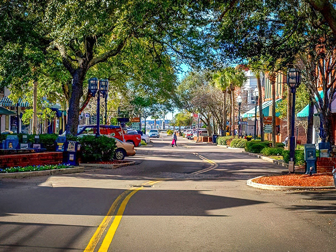 Centre Street's canopy of trees creates the perfect shopping corridor. This isn't your typical Main Street&mdash;it's a masterclass in how to preserve a downtown's soul.