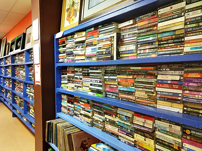 Bookworms rejoice! These blue shelves hold literary journeys for pennies on the dollar—proof that good stories never truly end.