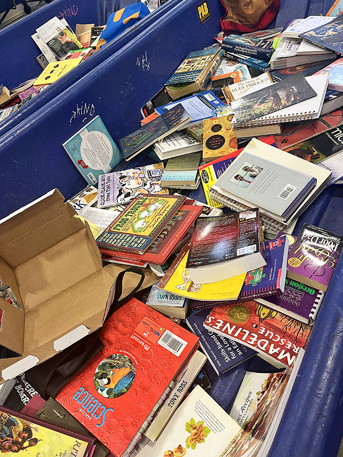 Bibliophile heaven where literary treasures await. From bestsellers to obscure gems, these bins tell thousands of stories beyond their pages.
