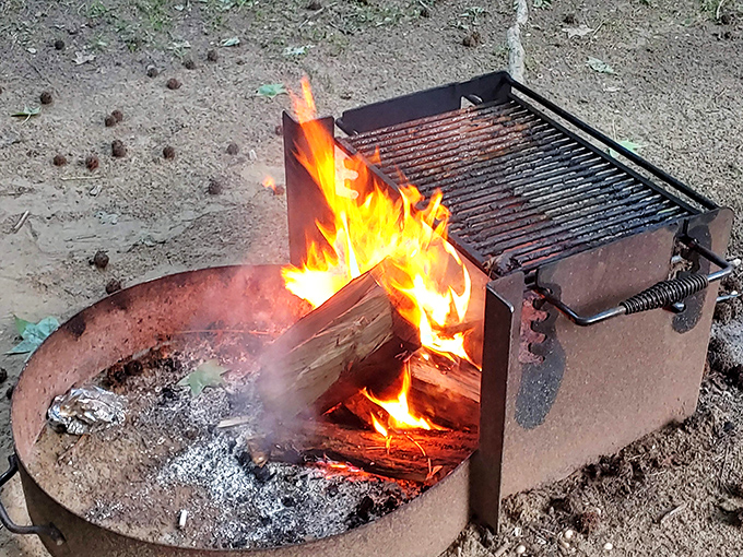 There's something primal about a campfire that no smart home device can replicate. S'mores taste better when earned after a day of exploration.