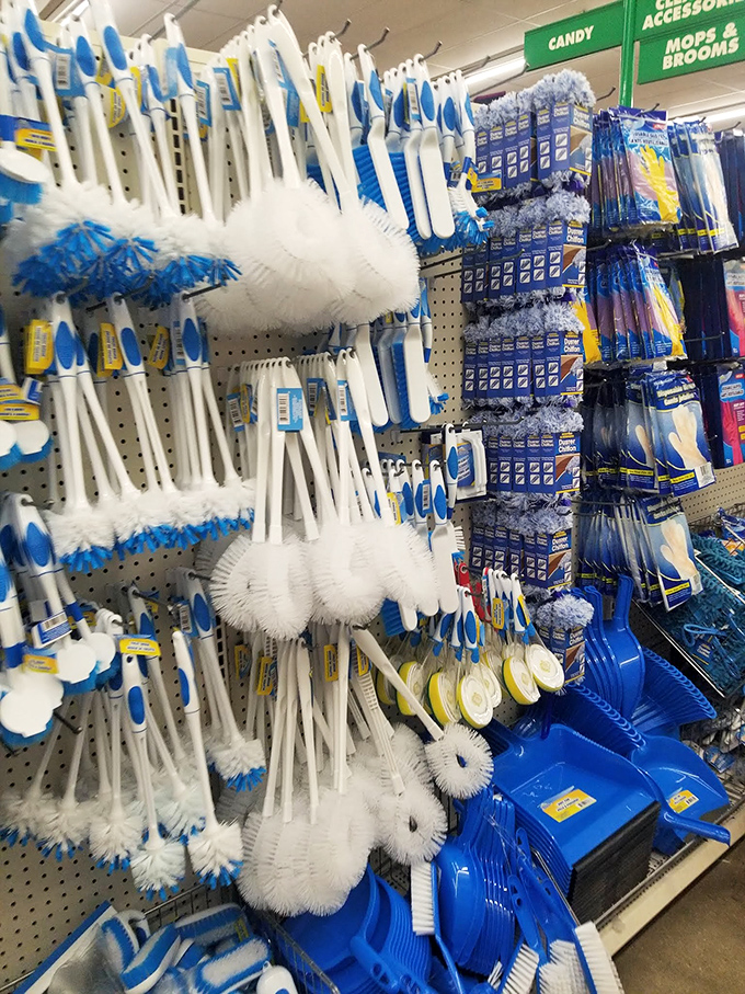 Toilet brushes and scrubbers standing at attention like a cleaning supply army ready to battle Wisconsin's toughest bathroom grime.