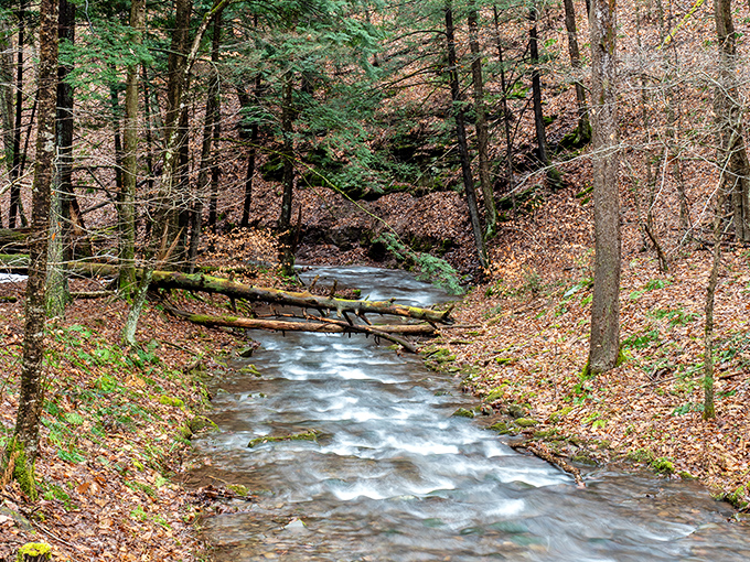 This babbling brook doesn't just babble&mdash;it delivers TED talks on the art of perpetual motion and perfect tranquility.
