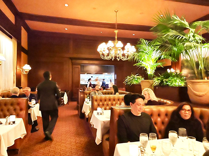 Diners settle into their evening like they're part of an exclusive club where great food is the membership requirement.