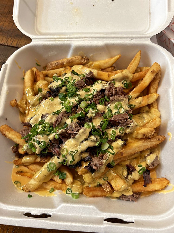 Dirty Fries: where french fries decided to dress up for a special occasion with cheese sauce, meat, and green onions. Utensils strongly advised.
