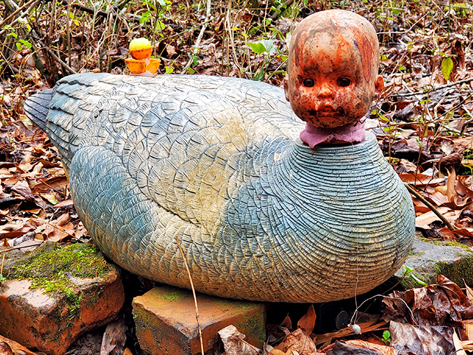 Duck, duck, doll head! This waterfowl-human hybrid might be the perfect mascot for a trail that blends nature with the manufactured.