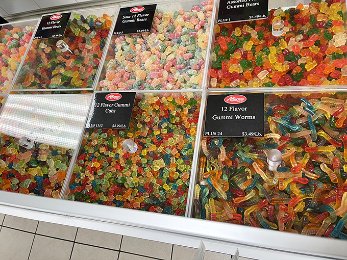 The gummy motherlode &ndash; bears, worms, and other shapes in a kaleidoscope of colors that would make a rainbow feel inadequate.