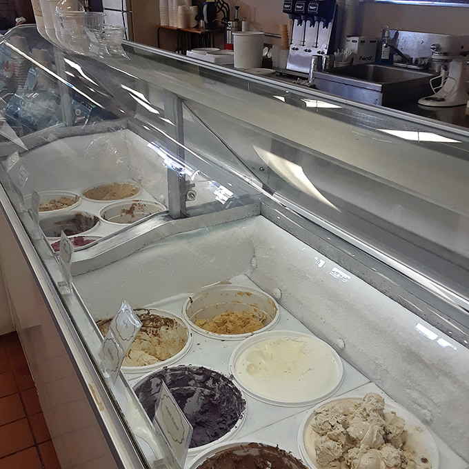 The ice cream counter reveals creamy treasures in various stages of enjoyment, like a timeline of Florida's favorite way to beat the heat.