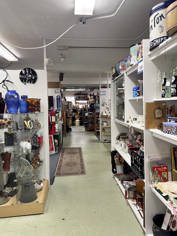 Vintage rugs guide you deeper into the labyrinth. The white walls and display cases create galleries where everyday objects become museum-worthy artifacts.