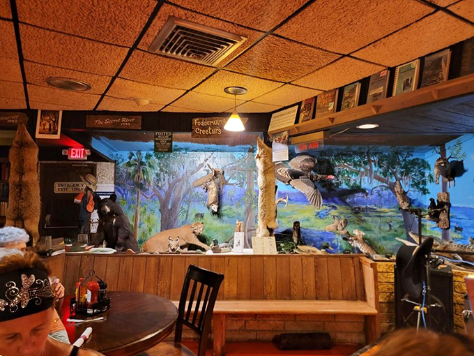 Books, murals, and wooden tables create the perfect backdrop for contemplating whether that mounted fish is judging your food choices.
