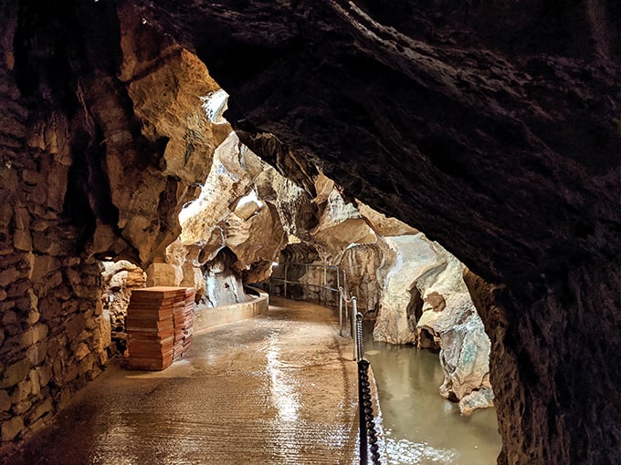 Where water meets limestone in an eternal dance—creating passageways that seem designed by nature's most imaginative architect.