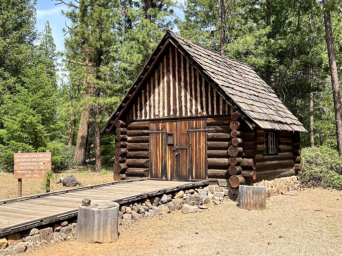 This rustic cabin looks like it's waiting for Thoreau to show up and write something profound about simplicity and wet socks.