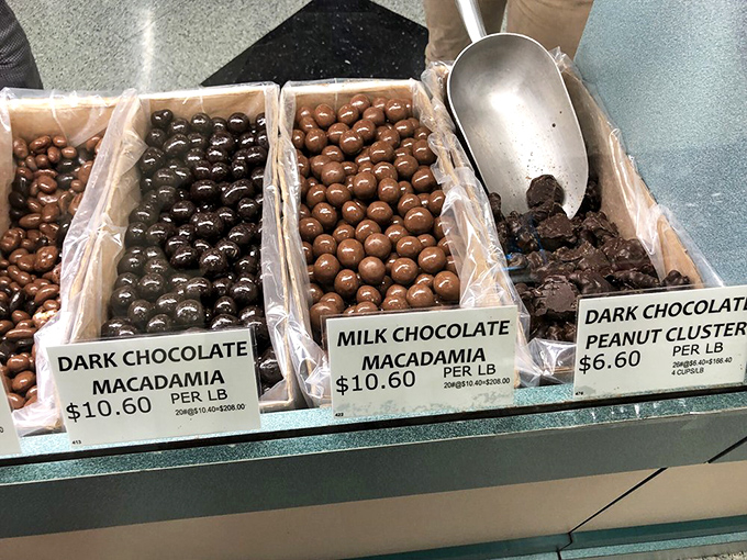 Chocolate-covered macadamias &ndash; nature's perfect nut made even better through chocolate alchemy. Worth every penny of their premium price.
