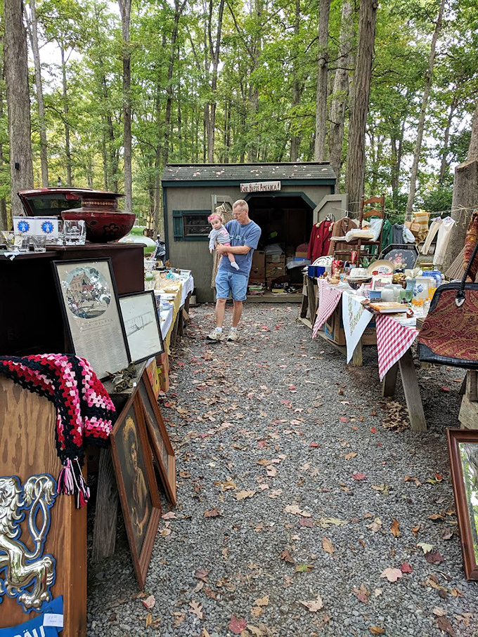 Nature provides the perfect backdrop for treasure hunting. The dappled sunlight through trees creates spotlights on potential discoveries.