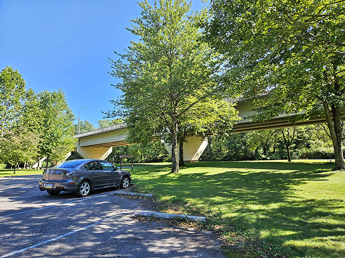 Even the parking area at Milton State Park delivers on scenery. Your car might just thank you for the view.