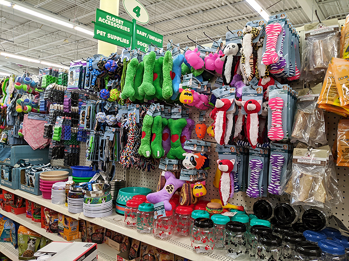 The pet section&mdash;proof that our furry friends deserve affordable luxury too. Colorful toys that will be destroyed in minutes but replaced without financial guilt.