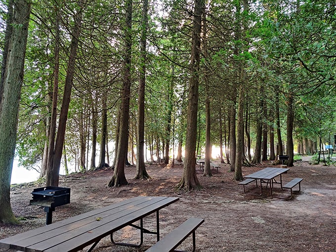 Picnic tables nestled among towering pines create the perfect lunch spot. Nature provides both the dining room and the view at this tranquil lakeside retreat.