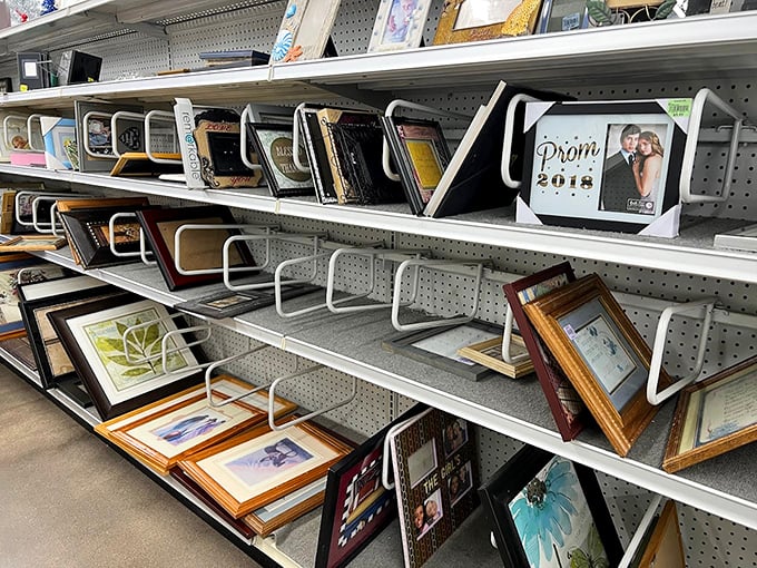 Yesterday's memories, tomorrow's decor. These frames await new photos and fresh walls, each one a blank canvas for your family's next chapter.