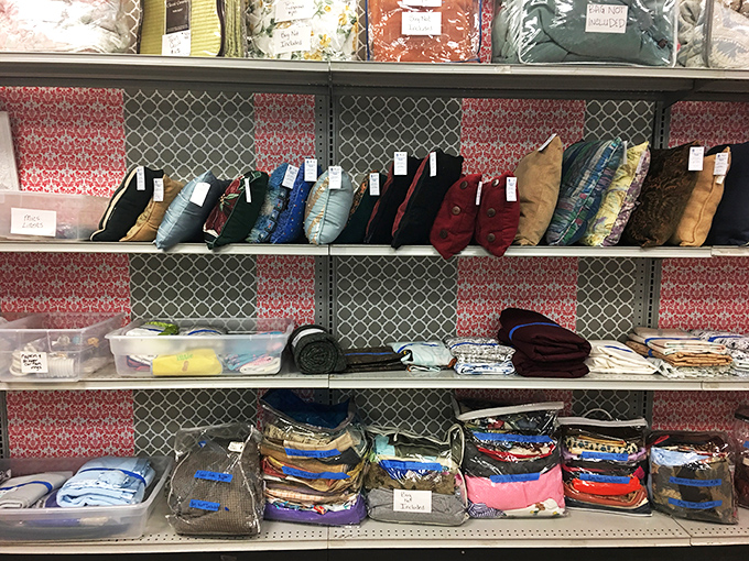 Pillow paradise: where your couch's personality makeover costs less than a fancy coffee drink, and nobody judges your pattern-mixing experiments.