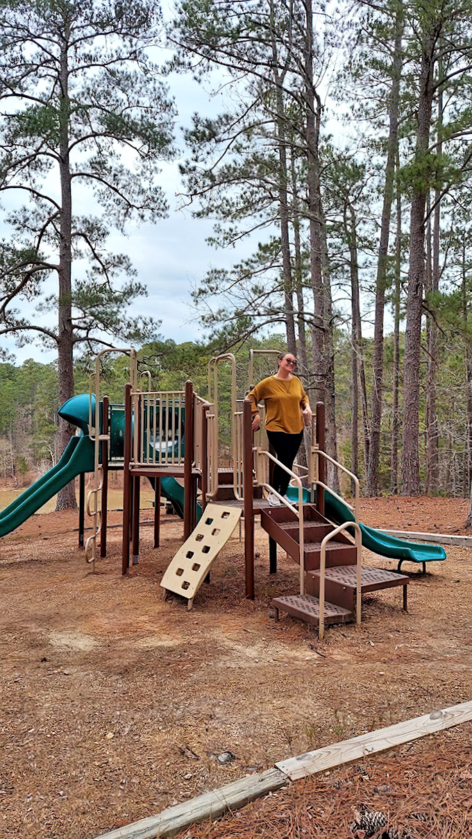 Playground paradise nestled among towering pines, where kids burn energy while parents secretly wish the slides were sized for grown-ups too.