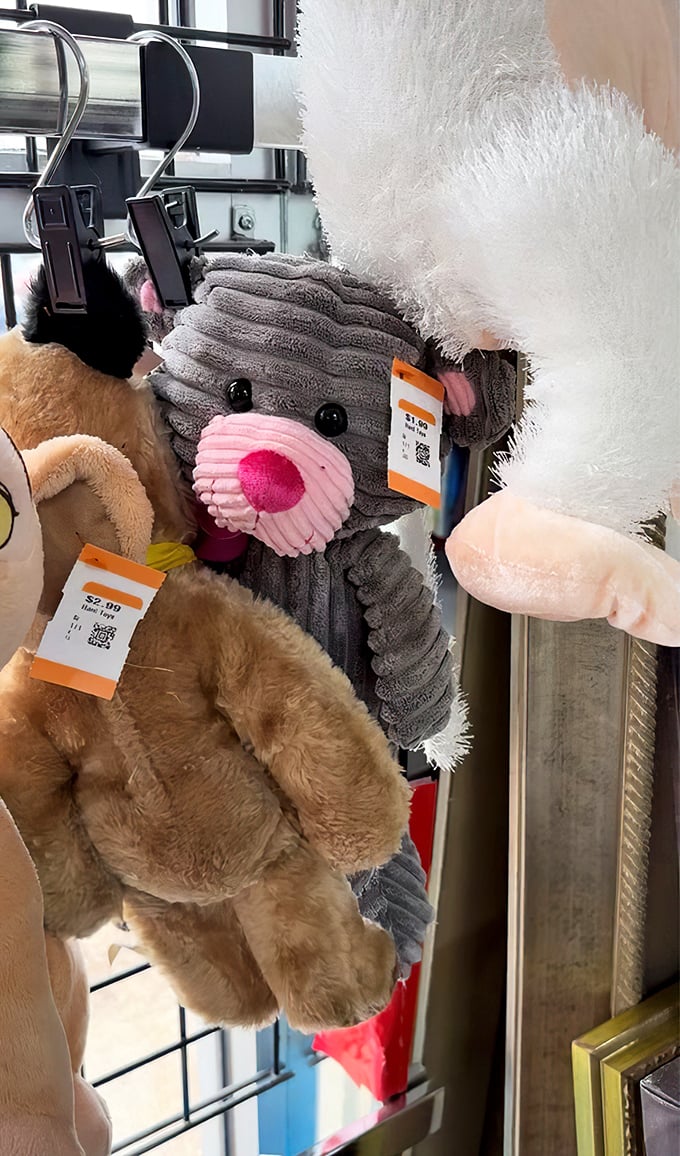 Plush companions with price tags await second chances at being loved, their button eyes full of hopeful possibility.
