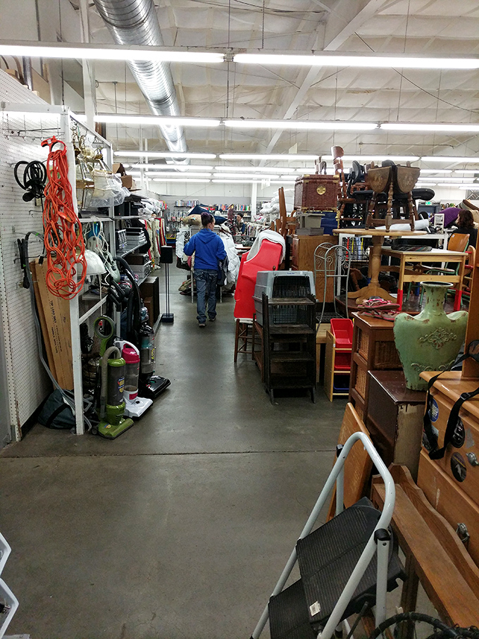 The furniture aisle&mdash;where that perfect chair you never knew you needed patiently waits for you to discover it.