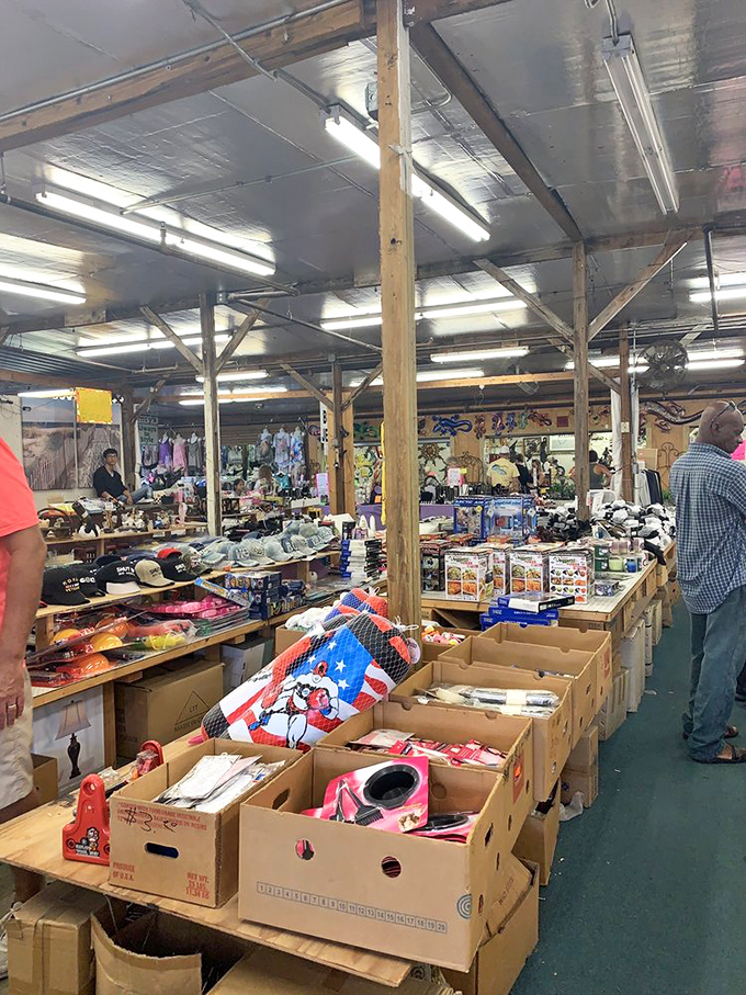 Organized chaos at its finest&mdash;where cardboard boxes transform into treasure chests filled with potential keepsakes and conversation starters.